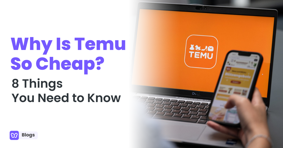Why is Temu so Cheap? 8 Reasons Why | Debutify